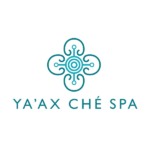 Holidays Network Group Website