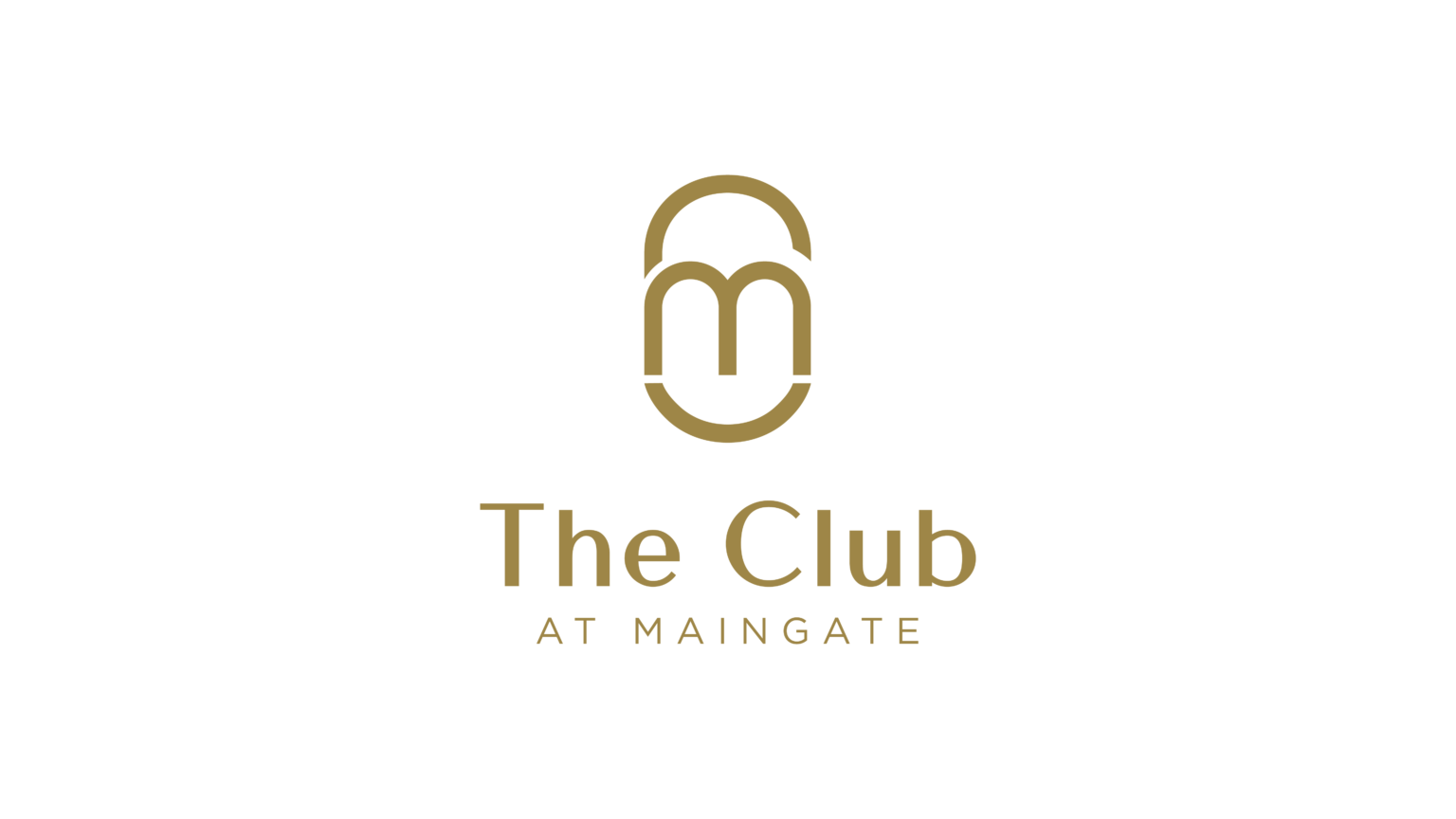 Holidays Network Group Website